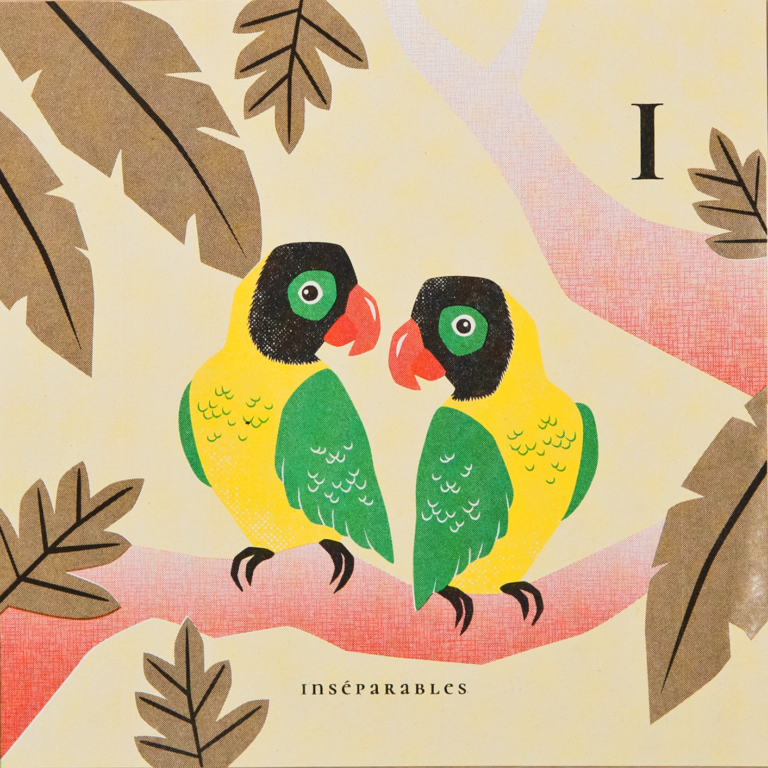 Inséparables - DJAAG